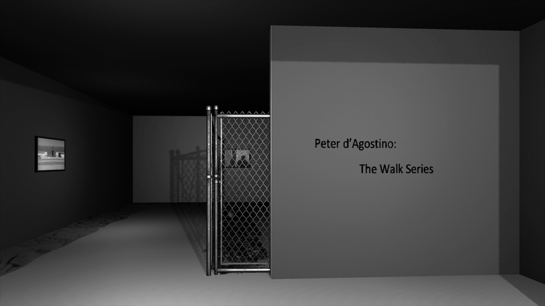 Electronic Arts Intermix: The Walk Series, Peter d'Agostino