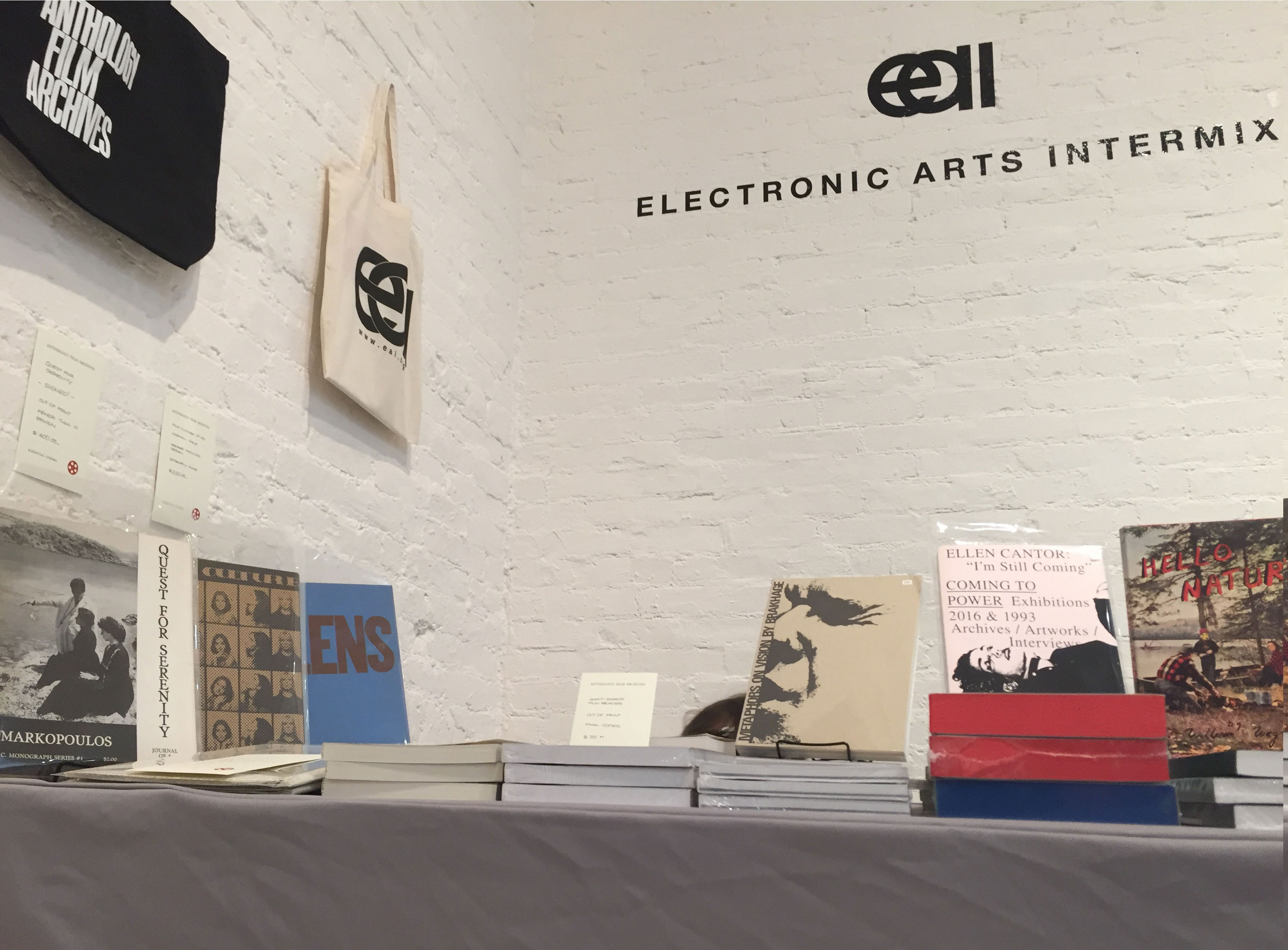 Electronic Arts Intermix